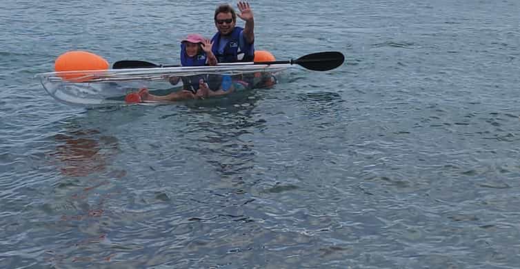 Crystal Clear Kayak Rental Excursion - 100% Transparent | GetYourGuide