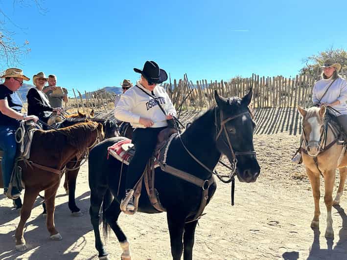 Horseback Ride thru Joshua Tree Forest with Buffalo & Lunch | GetYourGuide