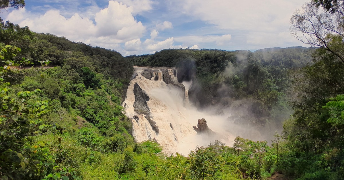 Cairns: Waterfall, Wetlands and Skyrail | GetYourGuide