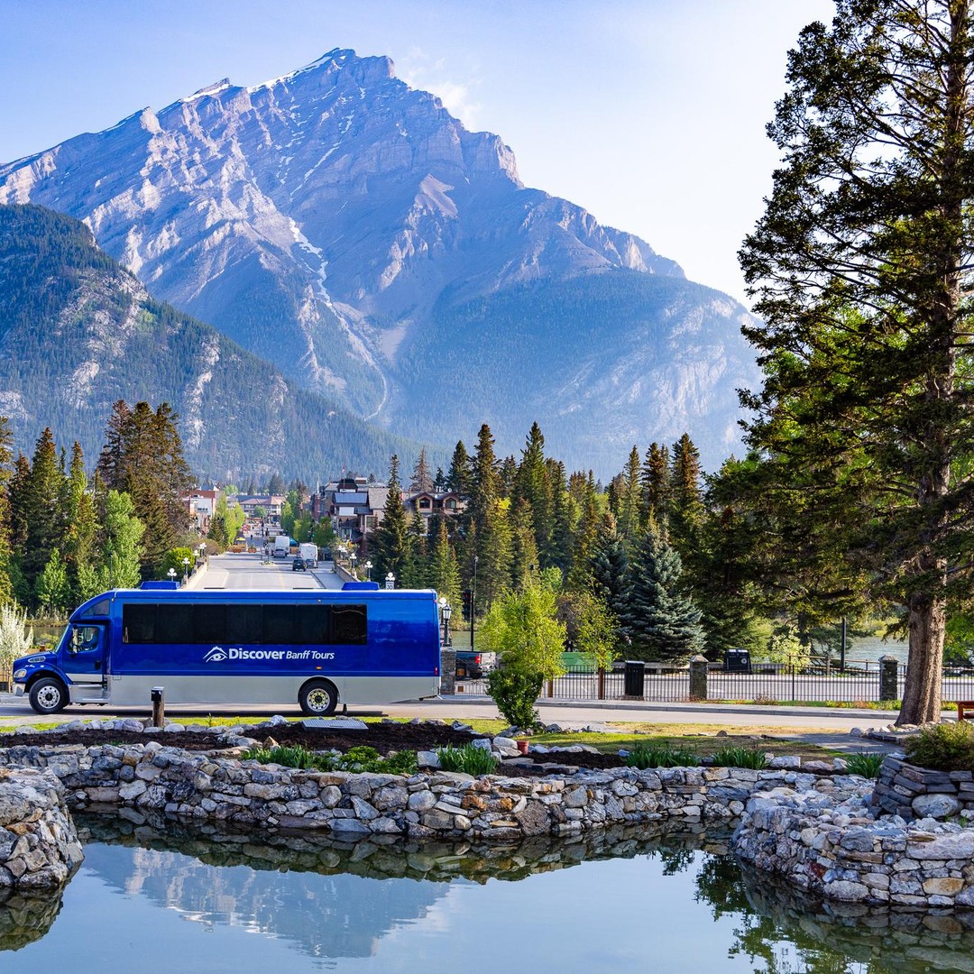 Banff: Wildlife and Sightseeing Minibus Tour | GetYourGuide