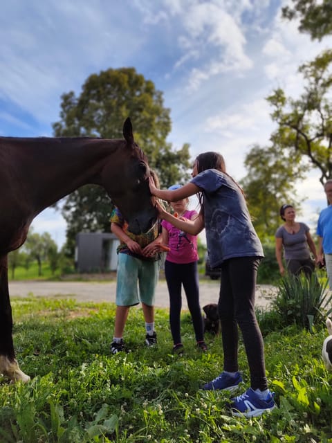 Wild Spring Ranch: Rakovica, Croatia, Horse Riding | GetYourGuide