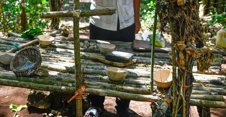 Tulum: Monkey Sanctuary Adventure | GetYourGuide