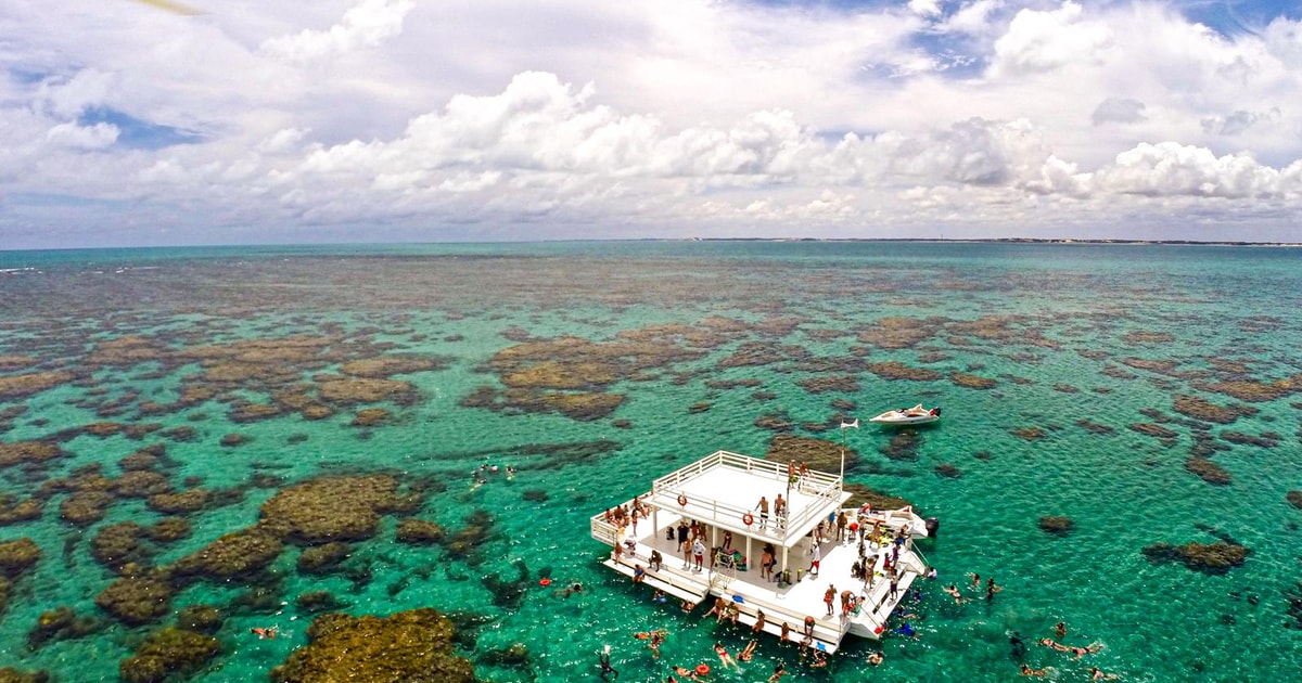 Maracajau Parrachos Reef: Simäventyr med mask och snorkel | GetYourGuide