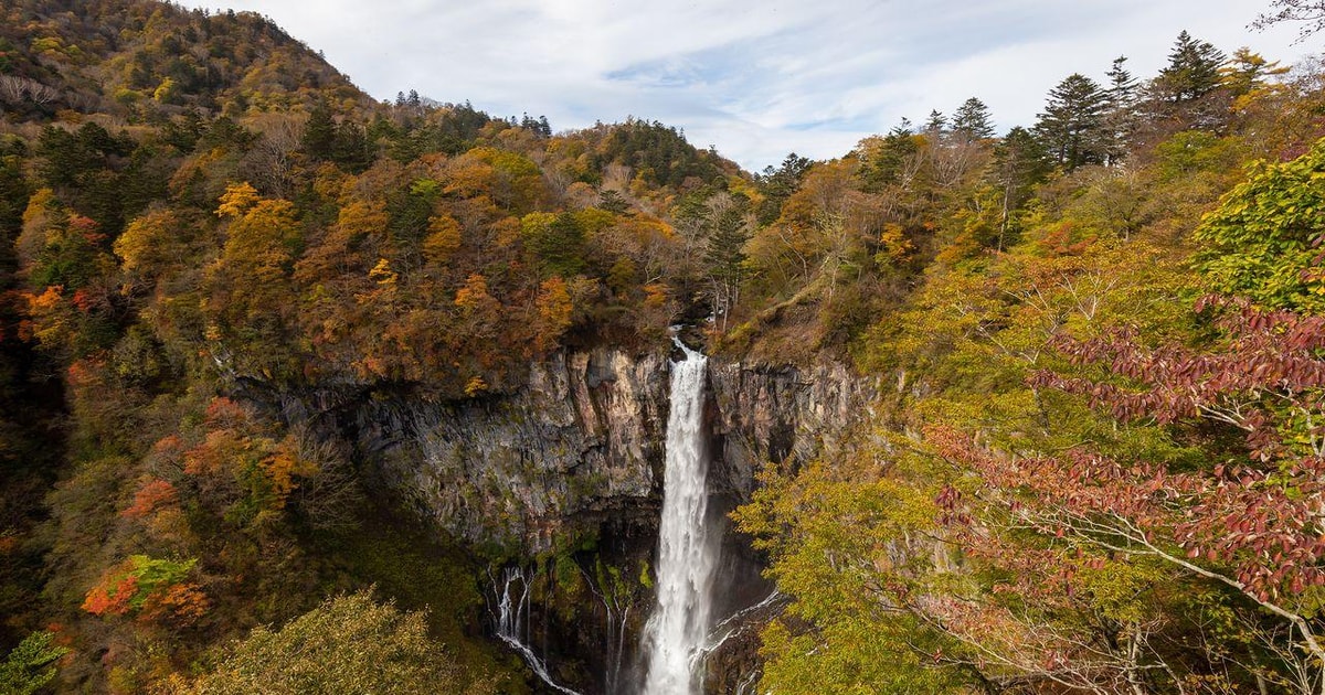 From Tokyo:Private Nikko world day tour | GetYourGuide