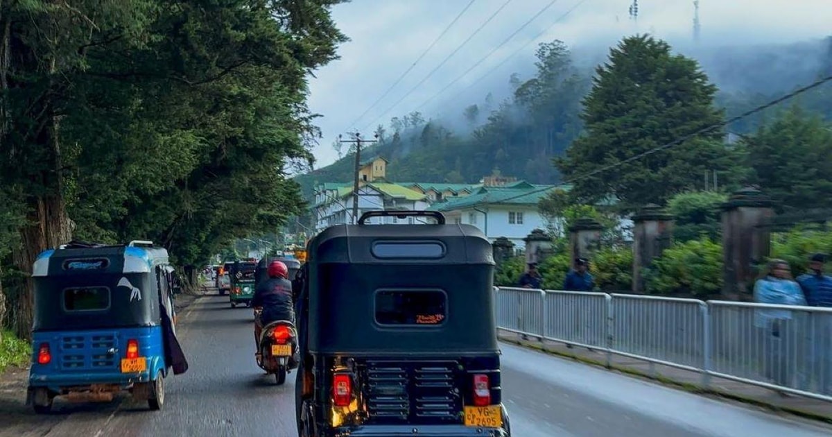 Scenic Nuwara Eliya Tuk Tuk Adventure | GetYourGuide