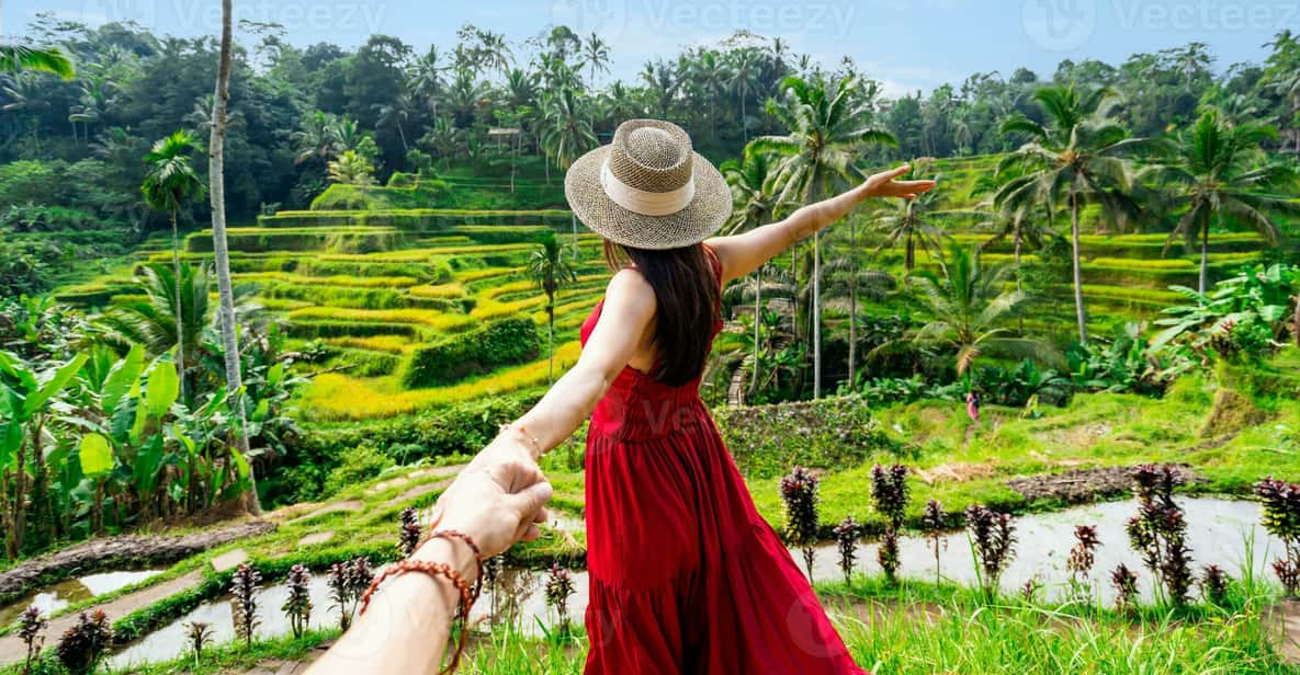 Cretya Ubud, Rijstterras, Tempel & Waterval Dagtour | GetYourGuide