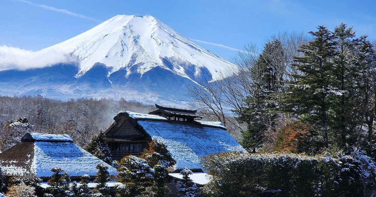 Tokio: Monte Fuji y Hakone Tour privado de 1 día | GetYourGuide