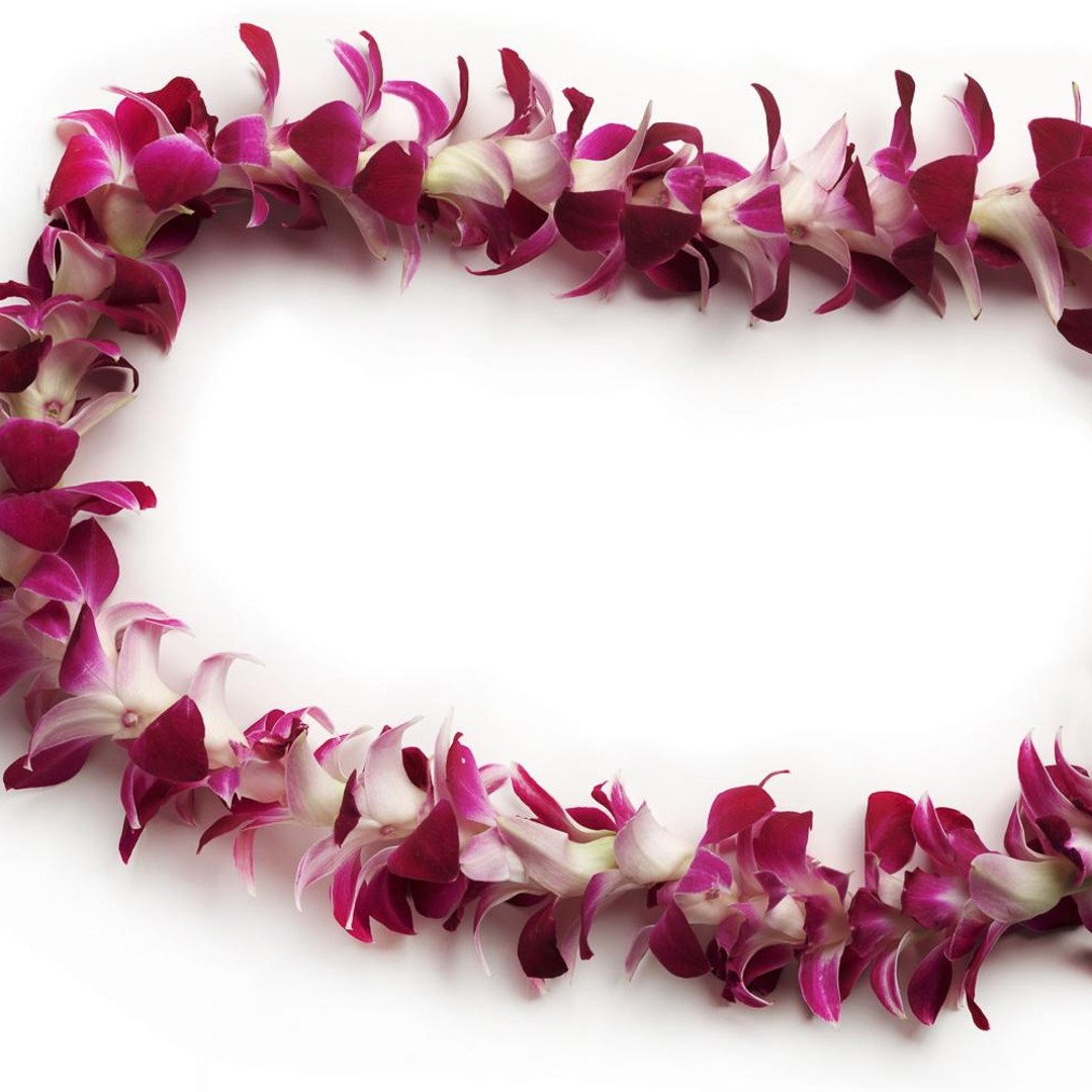 Oahu: Honolulu Airport (HNL) Traditional Lei Greeting | GetYourGuide