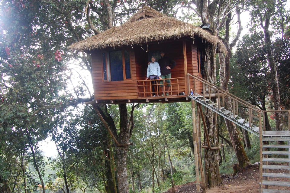 Munnar Tea Trek | GetYourGuide