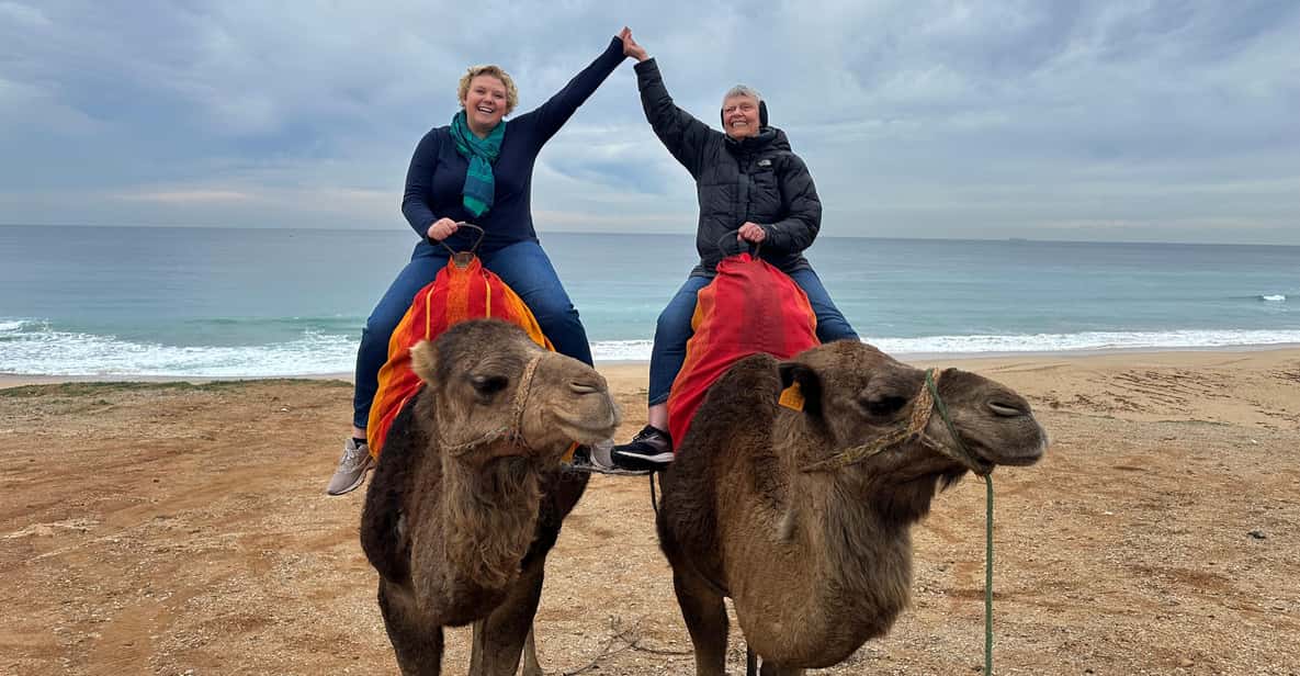 Privétour van Estepona naar Tanger inclusief veerbootticket | GetYourGuide