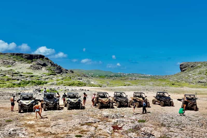 Curacao: Buggy Tour with breath taking sights | GetYourGuide