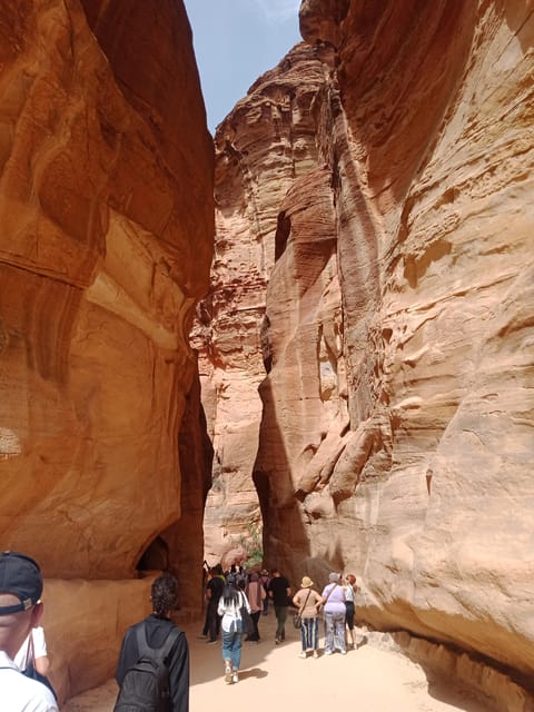 From Amman: One day tour to Petra | GetYourGuide