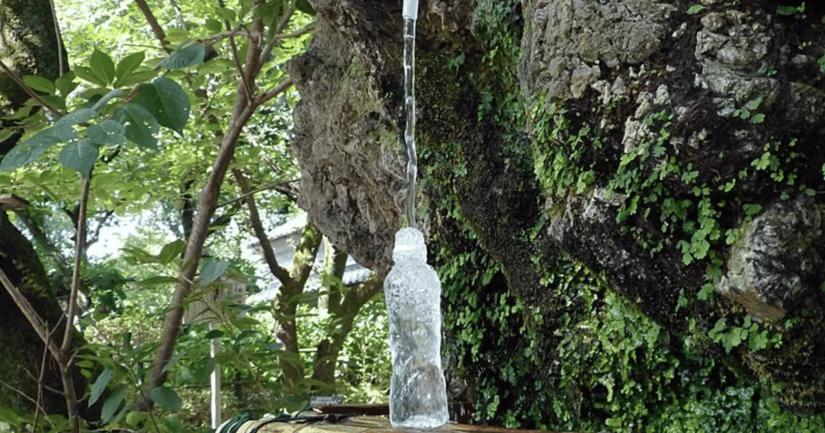 Kyoto: E-cycling with Hidden Water Source Discovery | GetYourGuide