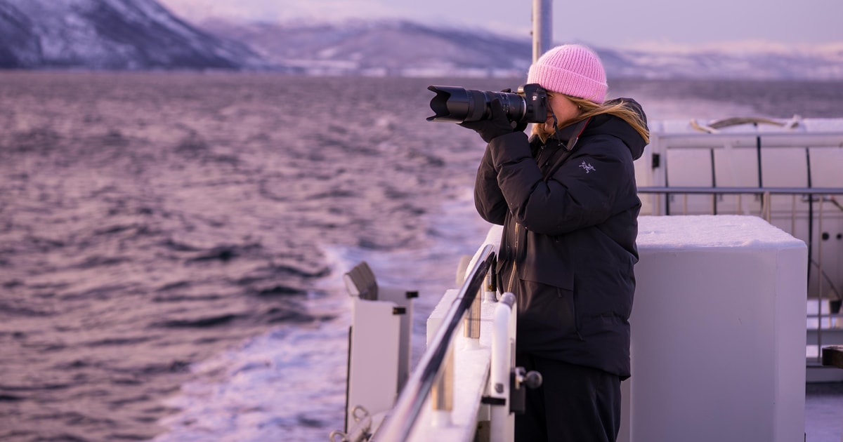 Tromsø: Arktische Sightseeing-Bootstour mit dem Katamaran | GetYourGuide