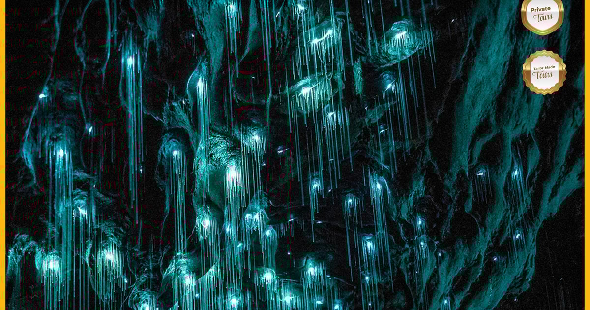 Private Tour: Private Tour: Waitomo Caves (Flexible) | GetYourGuide