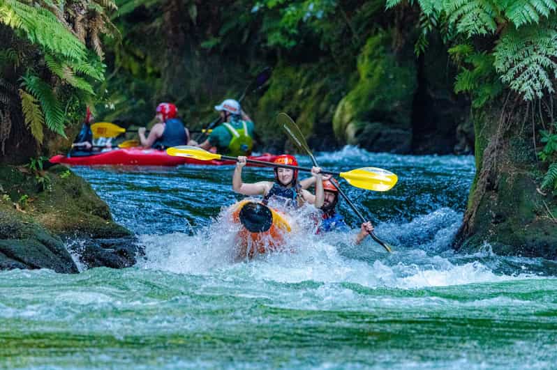 Epic Tandem Kayak Tour down the Kaituna River Waterfalls | GetYourGuide