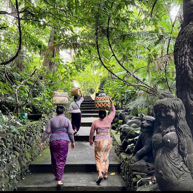 Bali: Ubud Monkey Forest, Rice Terraces, Temple, & Waterfall | GetYourGuide