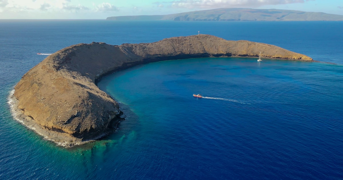 From Kihei: Molokini Crater and Turtle Town Snorkeling | GetYourGuide