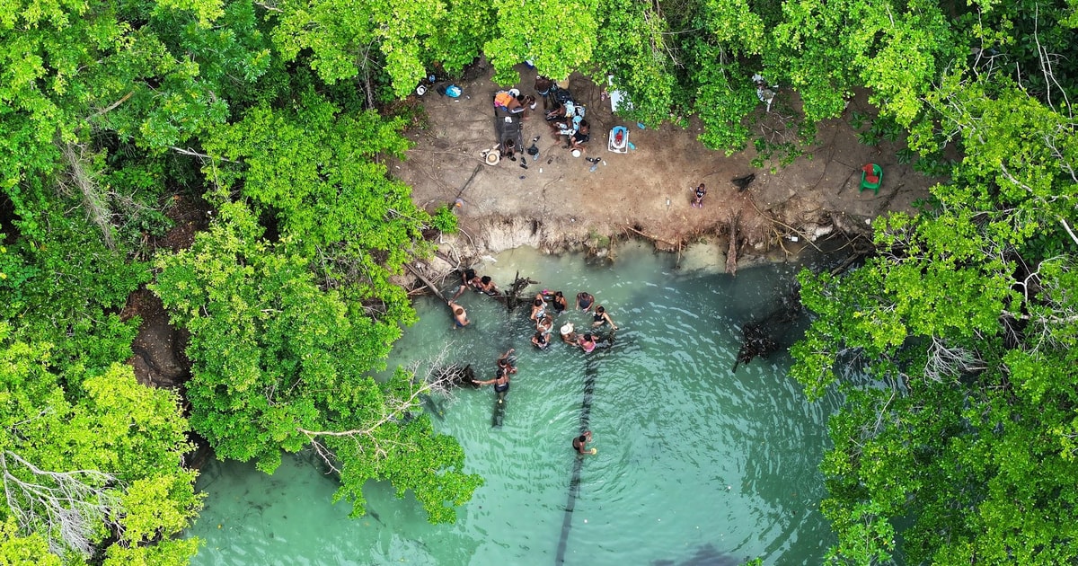 Punta Cana: Samana Safari Panoramic City Tour + Playa Rincon | GetYourGuide