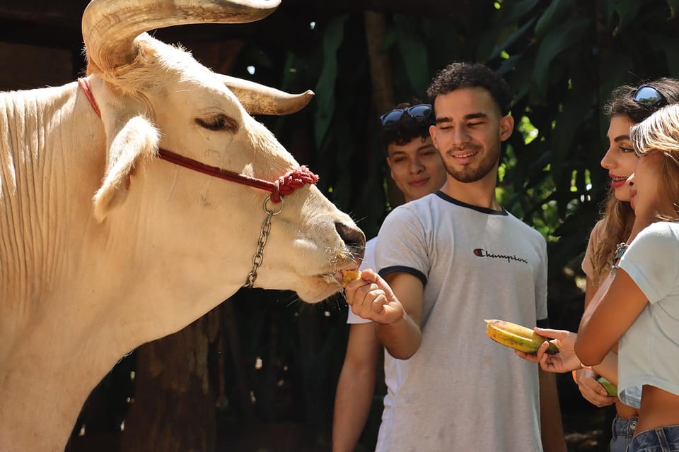 Vandara Nature Pass | GetYourGuide