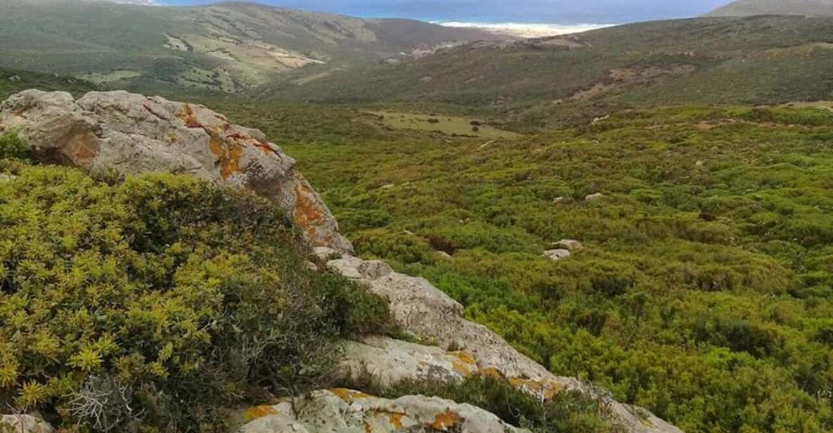 Nordafrika-Tour zum Utique-Bizerte-Ichkeul-Park (UNESCO) | GetYourGuide