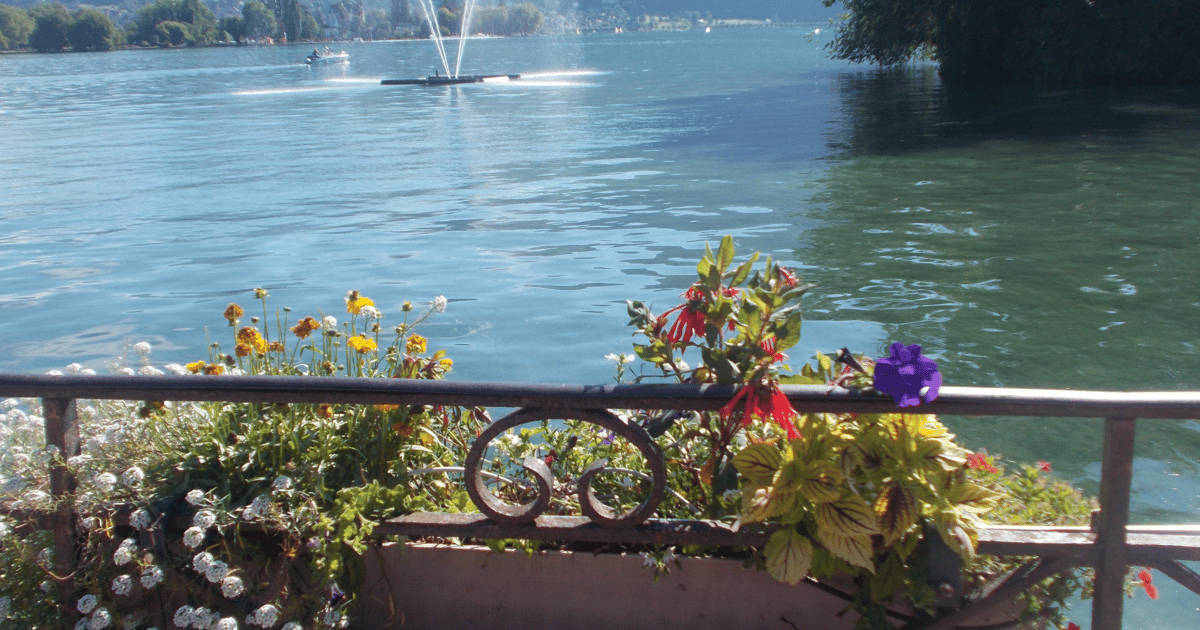 Annecy: Primer Paseo de Descubrimiento y Lectura a Pie | GetYourGuide