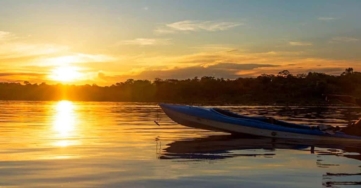 Vanuit Iquitos: Boottocht op de Amazone en Itaya rivieren | GetYourGuide