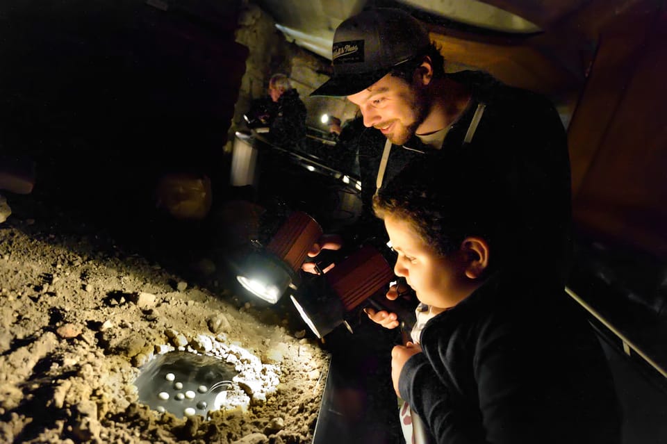 Utrecht: DOMunder Entry Ticket with Guide | GetYourGuide