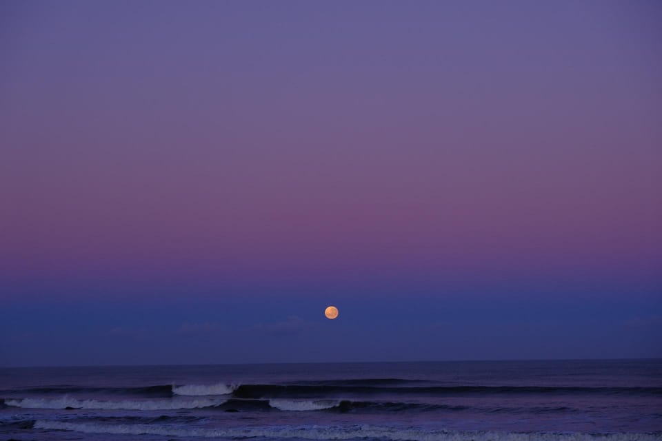 Full Moons Tours | GetYourGuide