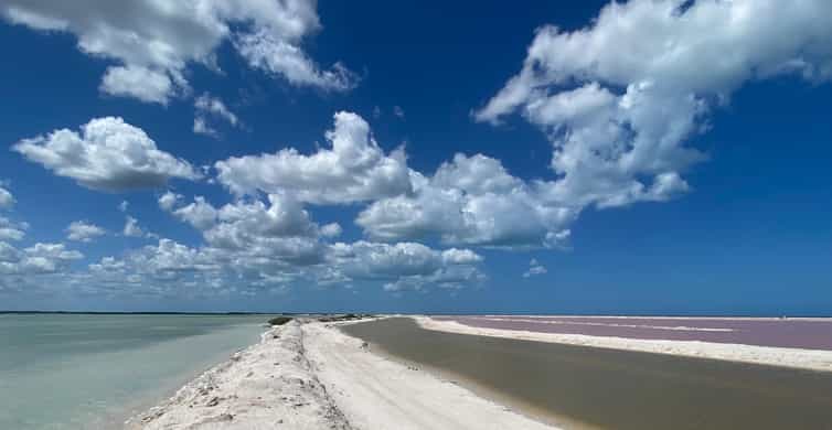 Flamingo Deluxe Rio Lagartos and Las Coloradas | GetYourGuide