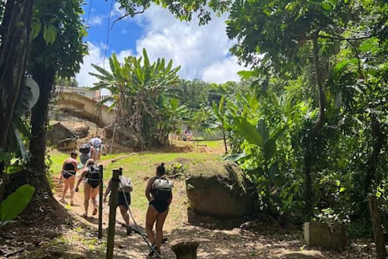 San Juan: El Yunque Waterslide & Waterfall Tour with Snacks | GetYourGuide
