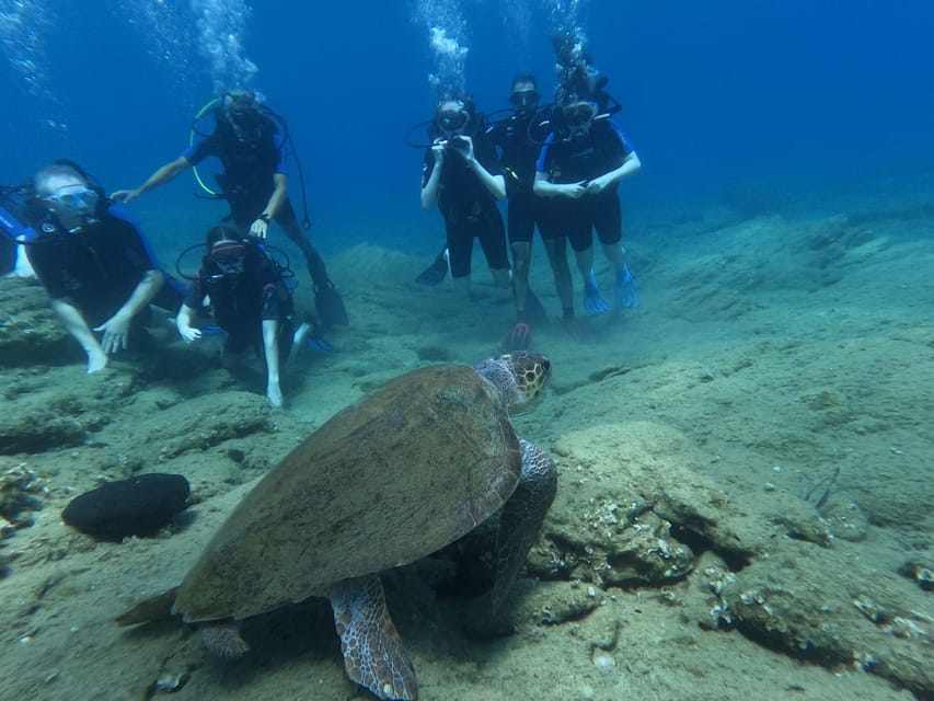 Heraklion: Beginner's SSI Basic Diver Program w/2 Dives | GetYourGuide