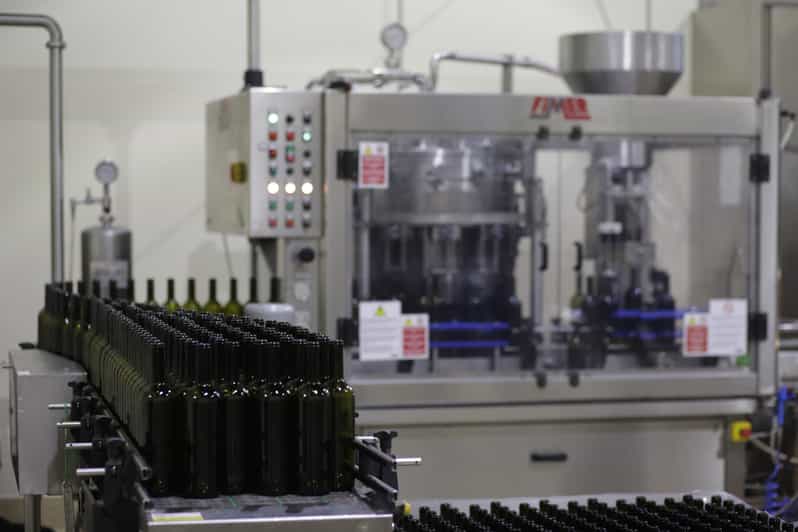 Pramaggiore: Ornella Bellia Winery Guided Tour & Tasting | GetYourGuide