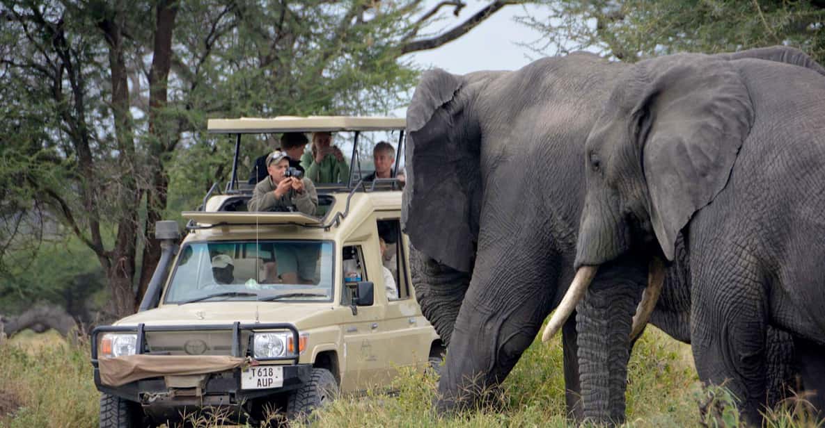 11-day Spirit & Soul of Africa safari in Kenya and Tanzania | GetYourGuide