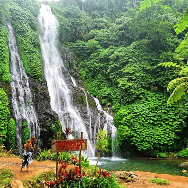 Bali : Full Day North Bali Tour | GetYourGuide