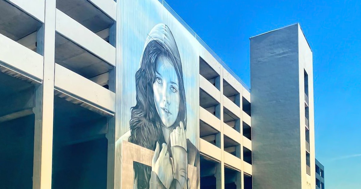 Reno: Midtown Reno Mural Tour | GetYourGuide