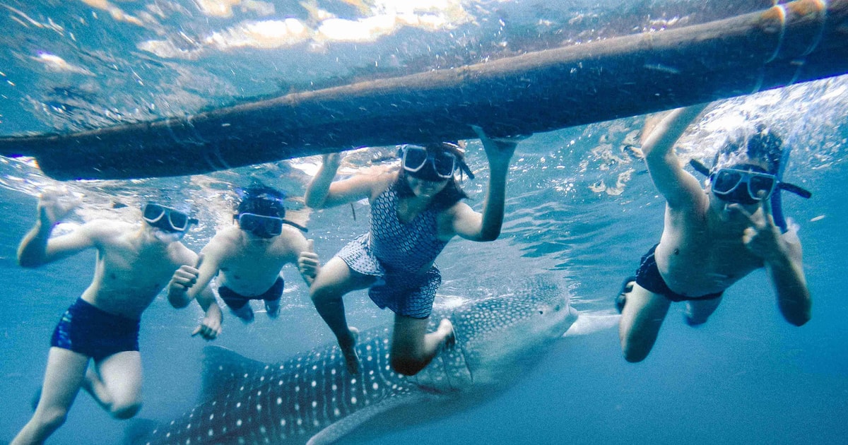 Cebu: Whale Shark, Sumilon Island, & Inambakan Falls | GetYourGuide