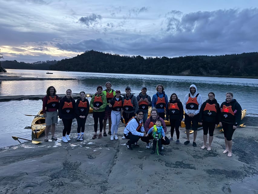 Auckland: Bioluminescence Kayak Tour | GetYourGuide