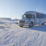 Yellowknife City Tour | GetYourGuide