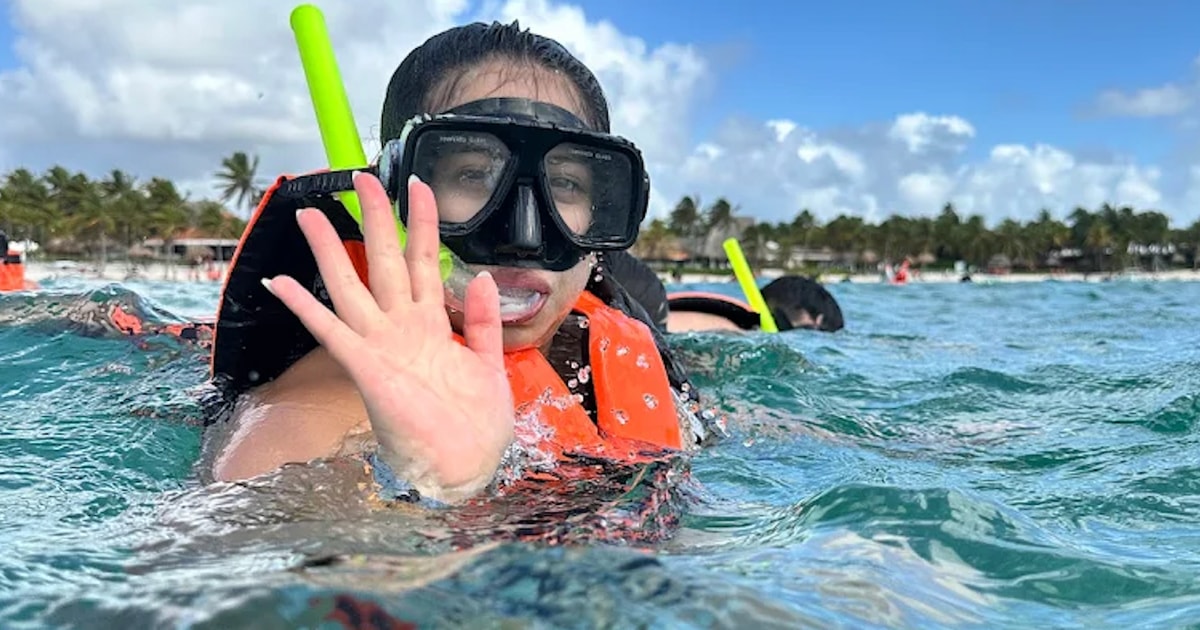 Riviera Maya: Private Tour with Sea Turtles, Visit 2 Cenotes + Buffet ...
