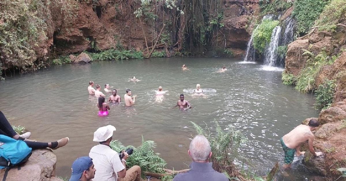 Nairobi: Ngare Ndare Forest Hike and Canopy Walk | GetYourGuide