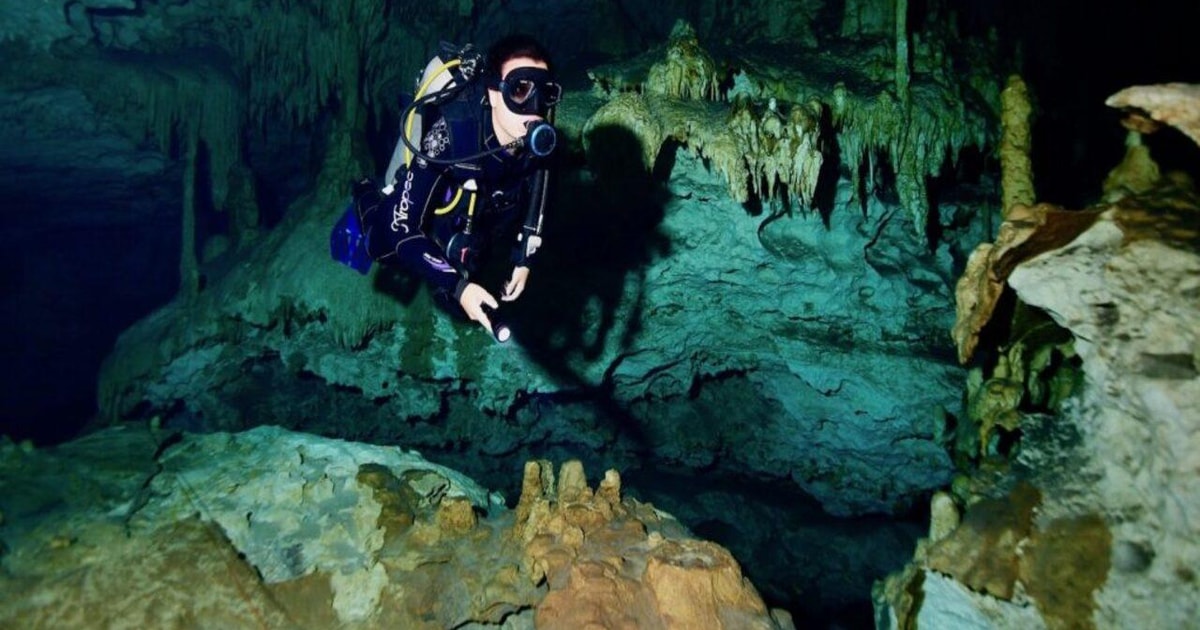 Plongée Cenote | GetYourGuide