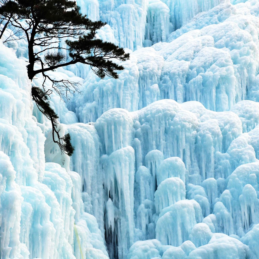 Busan: Cheongsong Ice Valley, Pohang Space Walk & Gyeongju | GetYourGuide