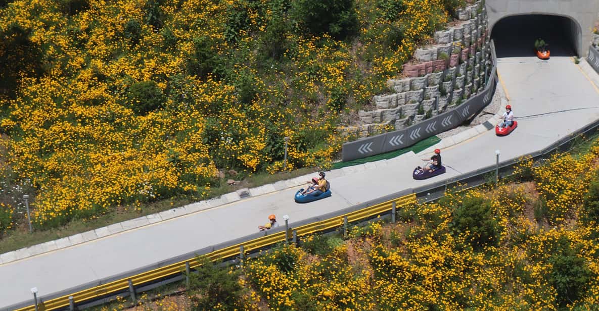 Incheon Luge & Railbike & Purple Azelea Festival | GetYourGuide