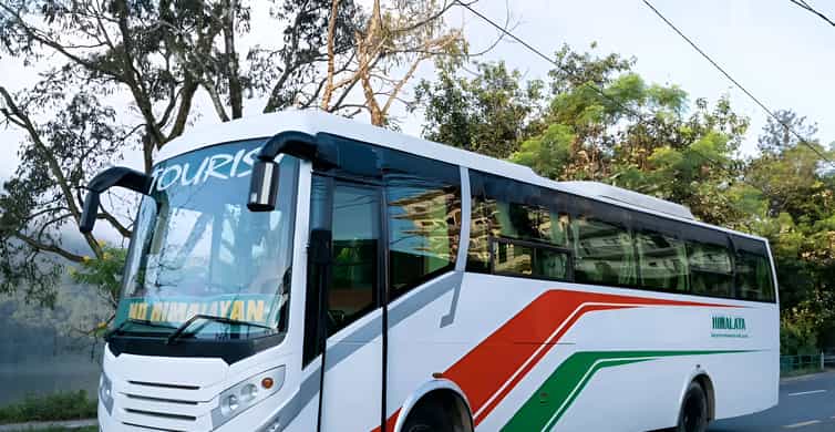 Kathmandu pokhara vip Sofa Bus | GetYourGuide