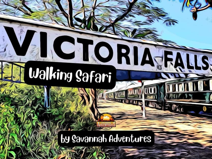 Victoria Falls: Bush Walk + Tour of Victoria Falls Town | GetYourGuide