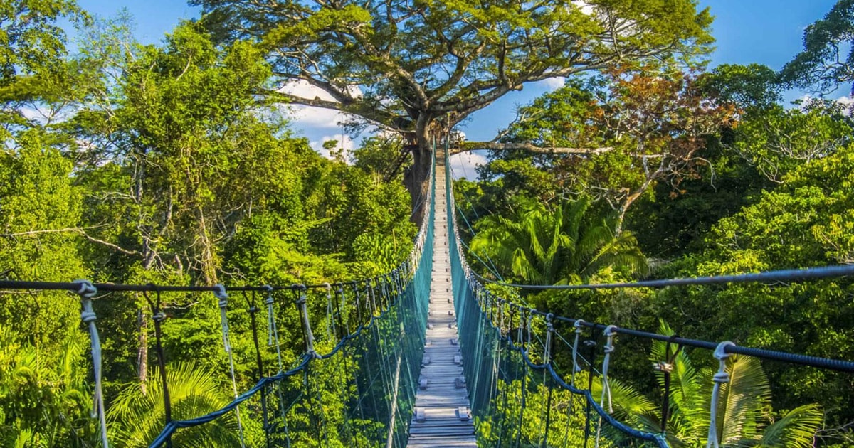 Excursión de varios días a la selva peruana | GetYourGuide