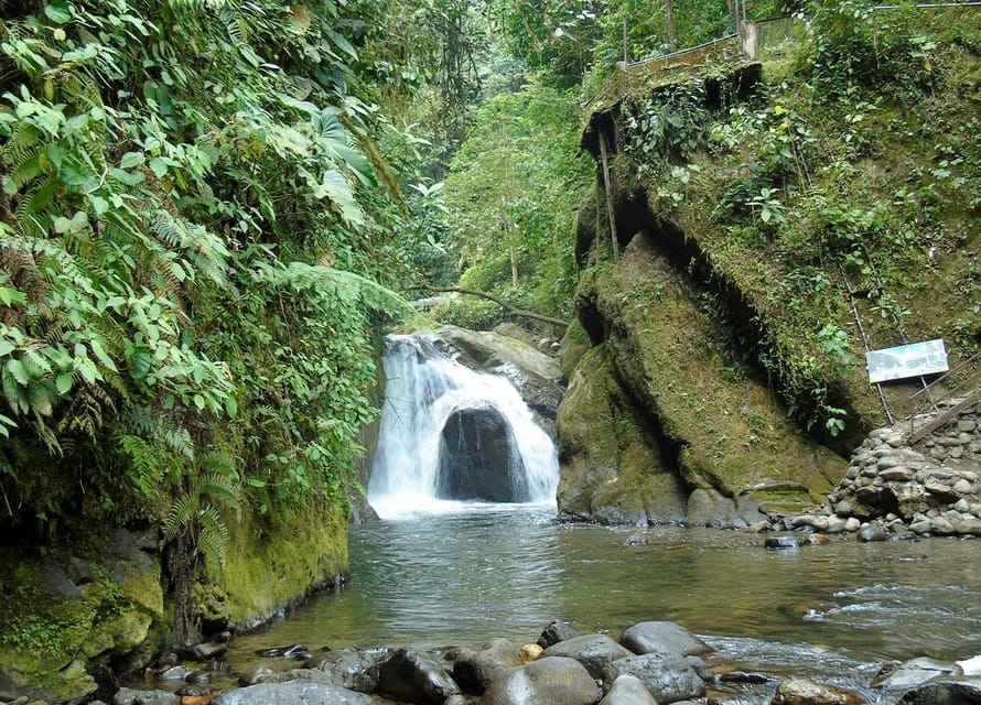 Mindo Cloud Forest Tour from Quito: 1 full day of Adventure | GetYourGuide