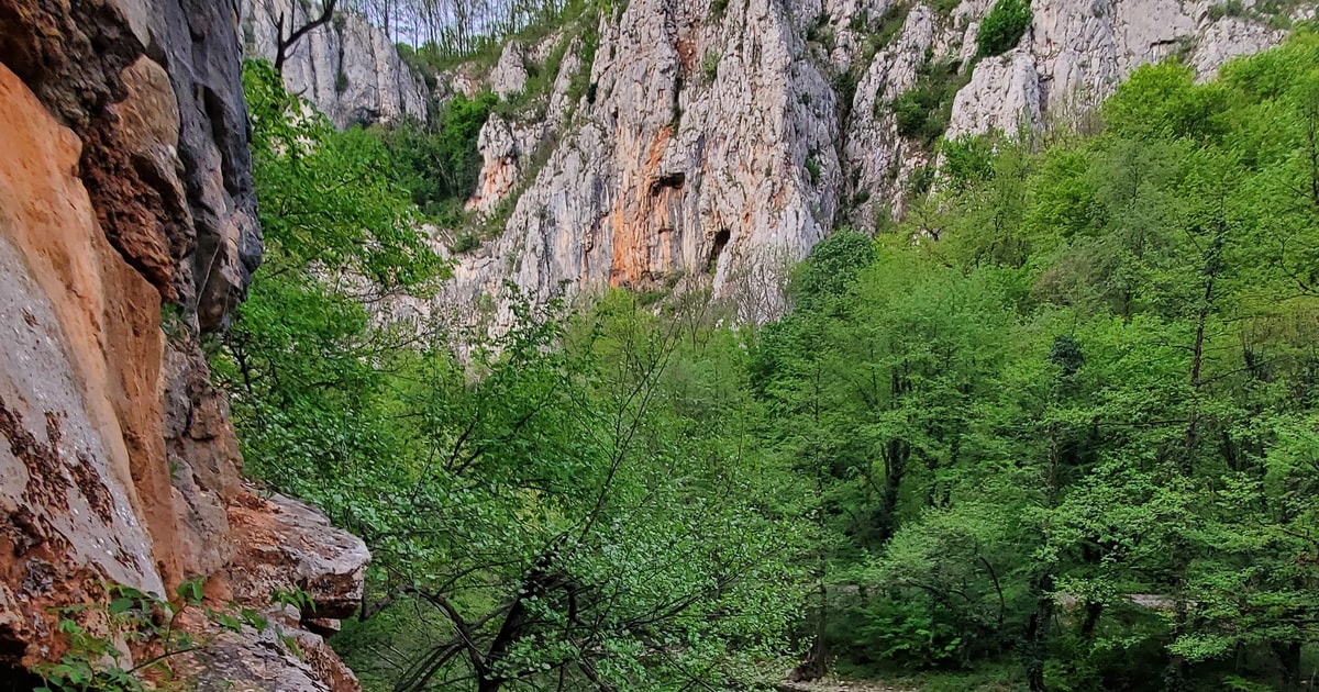 From Oradea: Gorges of Crisul Repede River | GetYourGuide