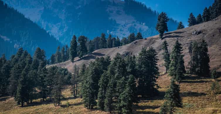 Magical Kashmir Tour | GetYourGuide